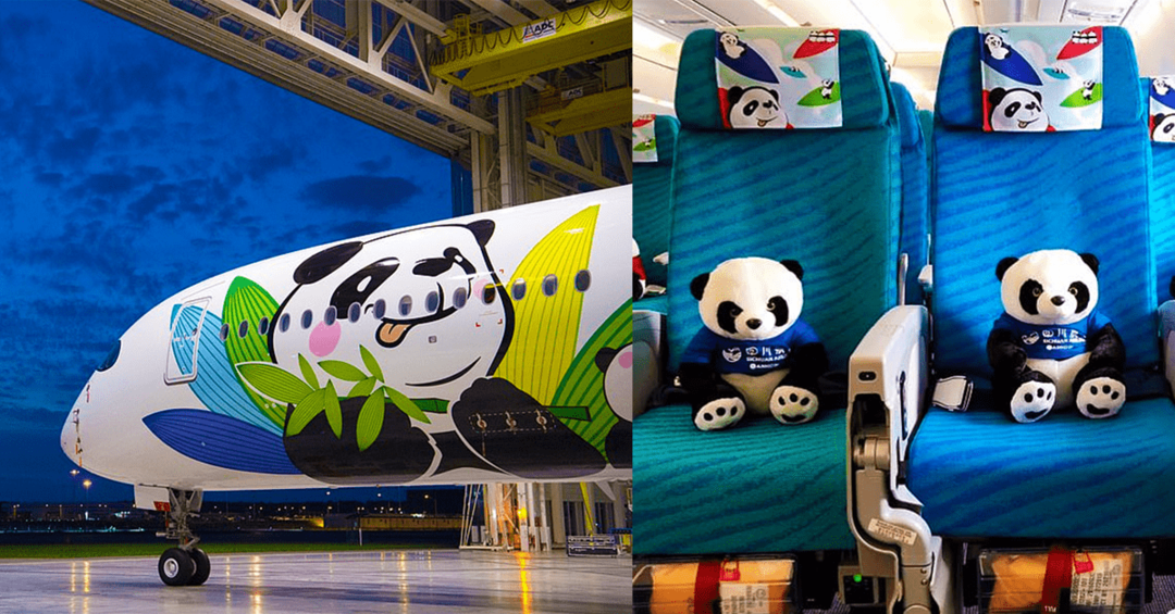 The Panda Route Story - Tripoto