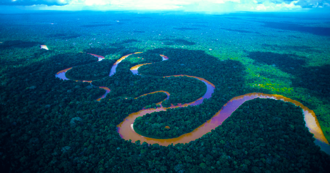 Deep in the Peruvian Amazon Rainforest - Tripoto