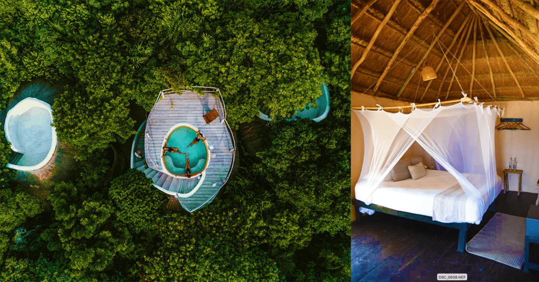 These Treehouses By The Caribbean Coastline Are The Ultimate Escape ...