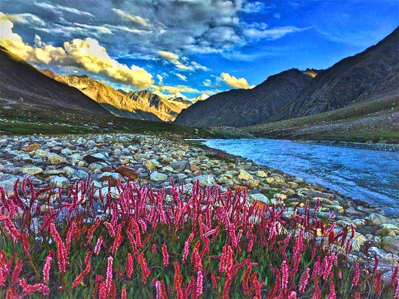 Miyar Valley: A trek where you witness the best of Himachal and Ladakh ...