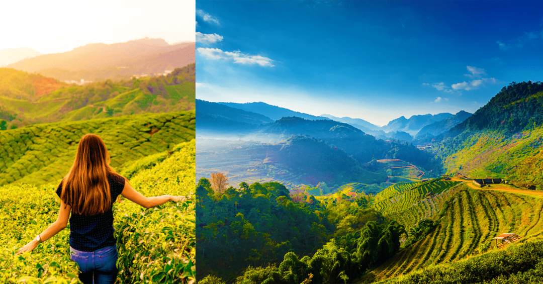 Have a Break and Hike to Pride of Sahyadri Mountains ...