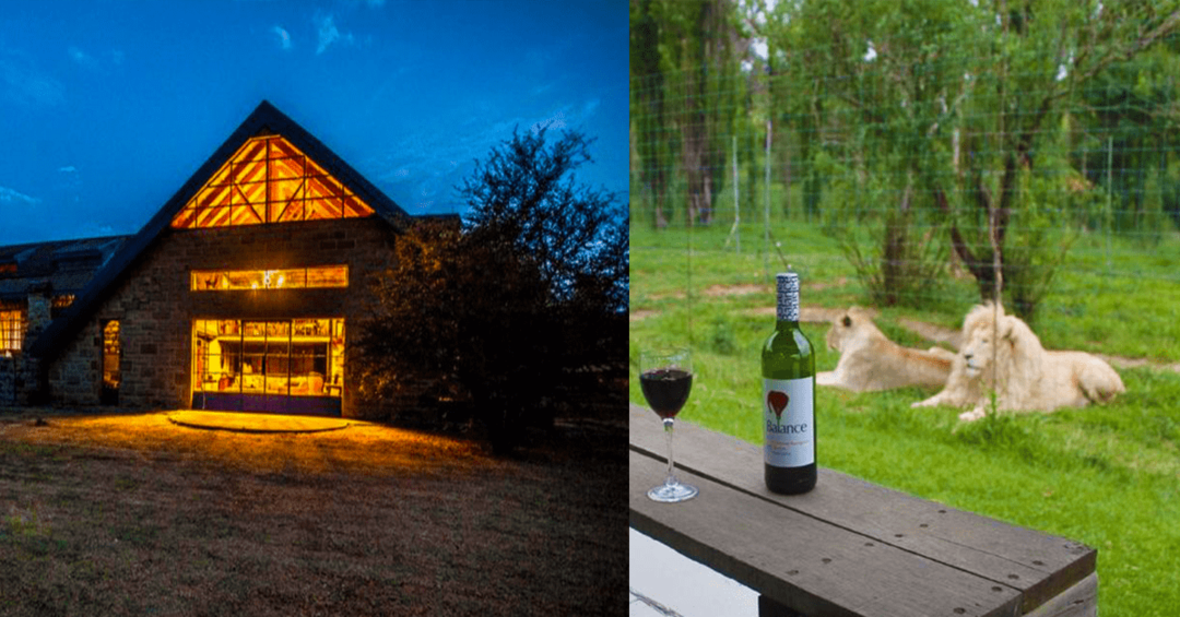 This Airbnb Lets You Sleep in a Quaint Cottage Surrounded by 70 lions ...