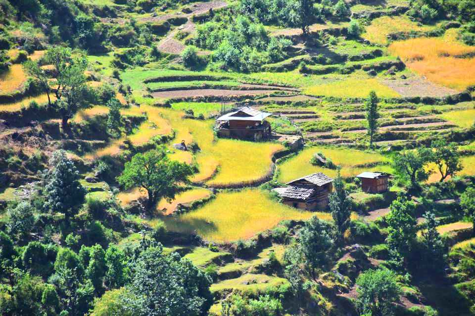 This Offbeat Village near Shimla Is the Coolest Getaway This Summer ...