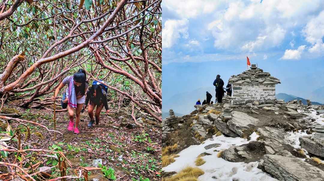 3 Reasons why you need to do the Chandrashila Trek - Tripoto