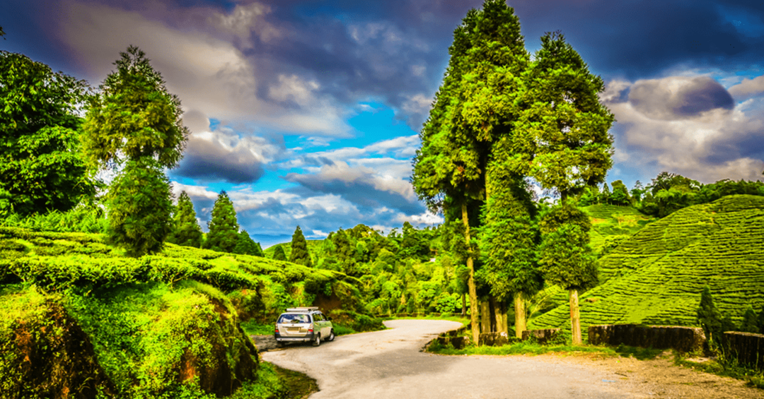 Dazzling Darjeeling (2021): Weather, Things To Do, Hotels And More