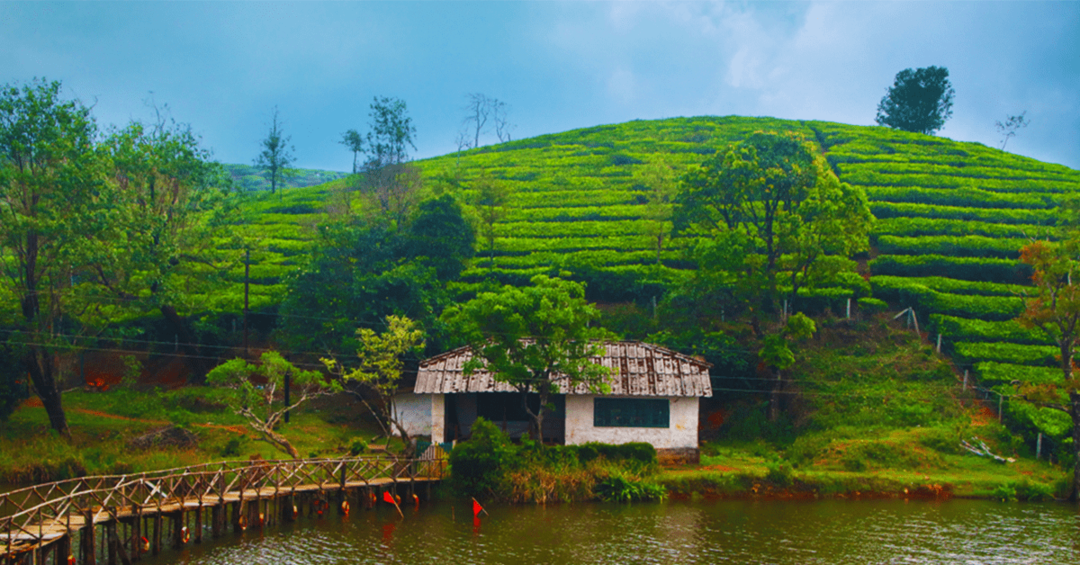 One day Trip to Vagamon - Tripoto