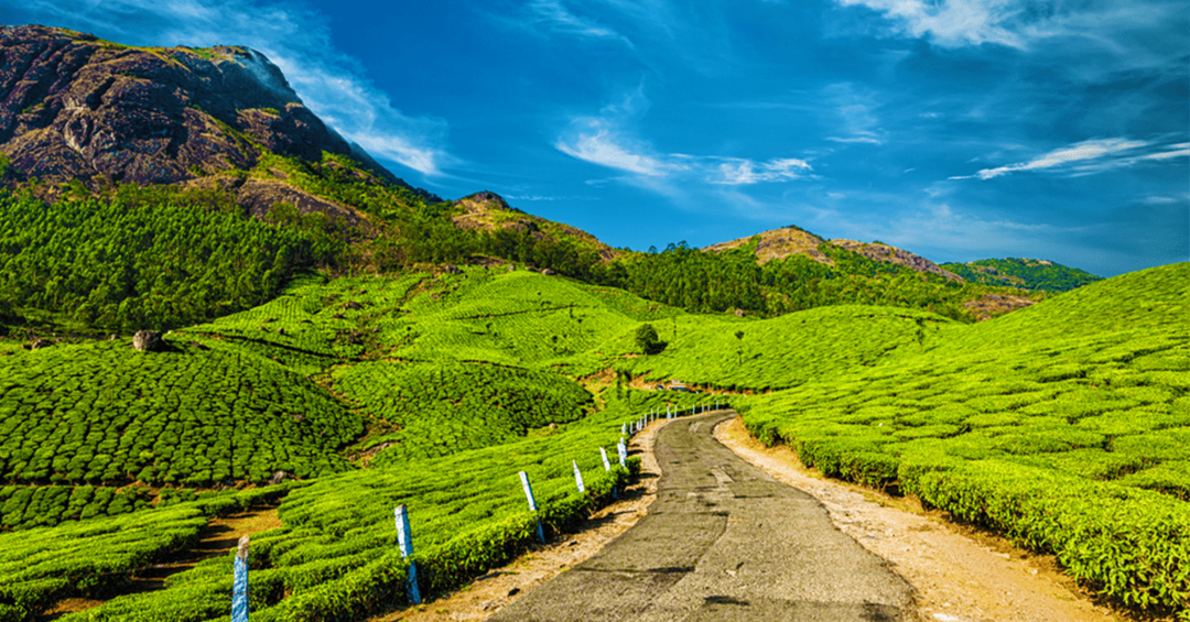 Road Trip In Karnataka - Coorg, Mangalore And Chikmanglur | Tripoto