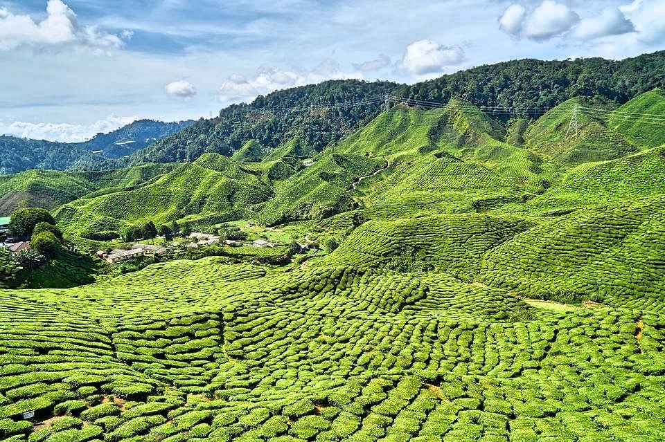 This Hidden Hamlet near Darjeeling Is Our Favourite Destination This ... This Hidden Hamlet near Darjeeling Is Our Favourite Destination This ...