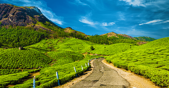 In to the Western Ghats: Munnar, Ooty, Coorg and Chikamagalur - Tripoto