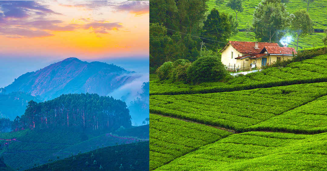 Ooty Coonoor - The Charm of Nilgiris - Tripoto