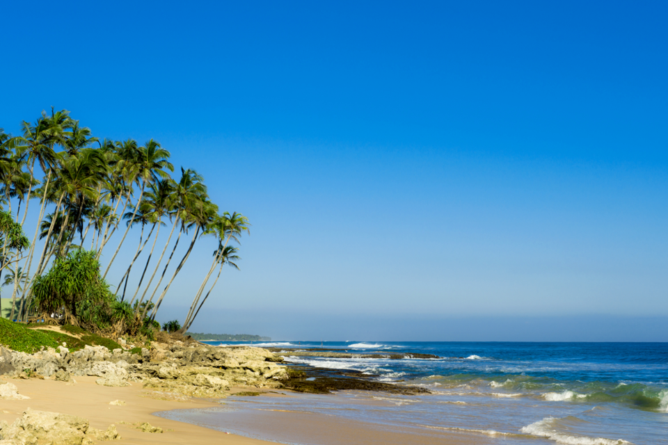 Unexpectedly Awesome Things to Do on Agatti Island - Tripoto