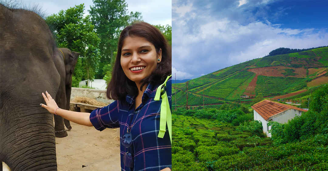 Coorg: 2 days of Coorgi Hospitality, Flora Fauna, Coffee, and ...