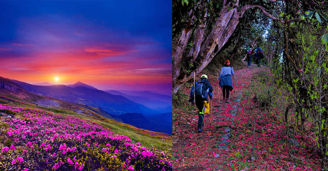 Your Guide To One Of The Most Exciting Treks In Sikkim