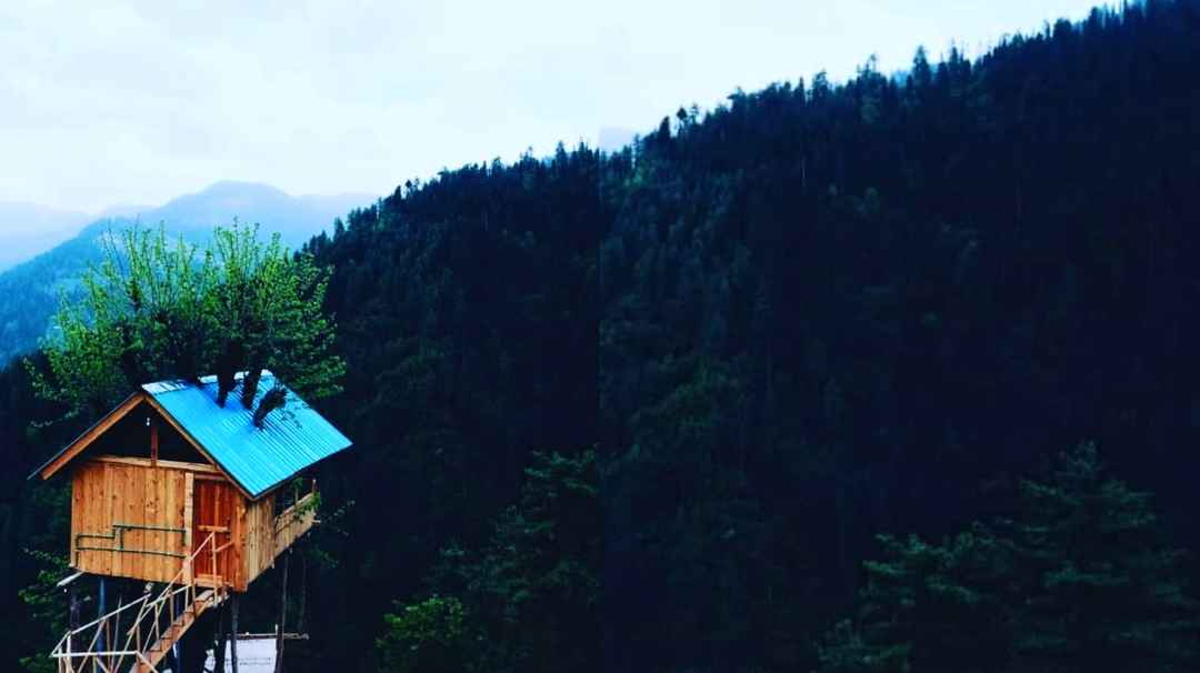 Take a Look at the Top Treetop Accommodations in the Country - Tripoto