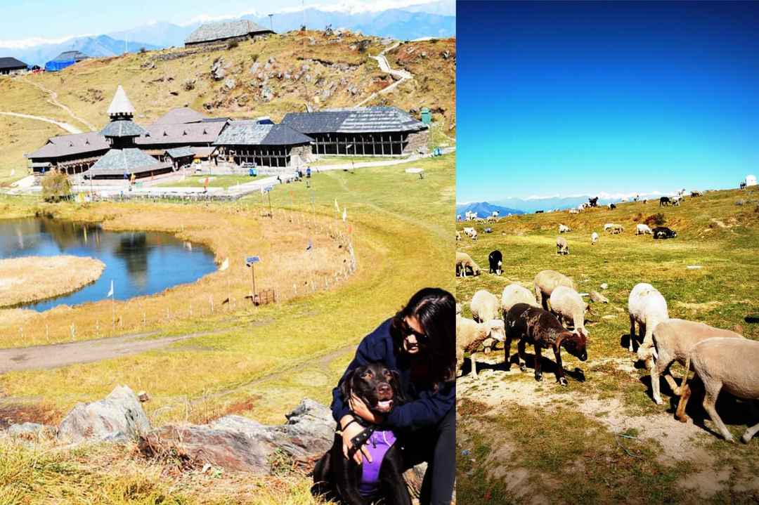 Exploring Mandi District: A Complete Guide for Your Next Vacation - Tripoto