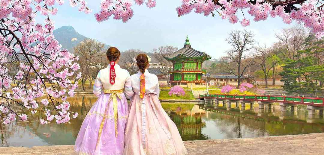 12 Photos to Show Spring in Korea - Tripoto