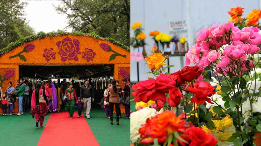 Chandigarh Travel Guide 2021: Best of Chandigarh Tourism | Tripoto