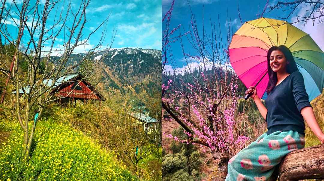 After Spending a Year in Manali, I Fell in Love with Each of Its ...