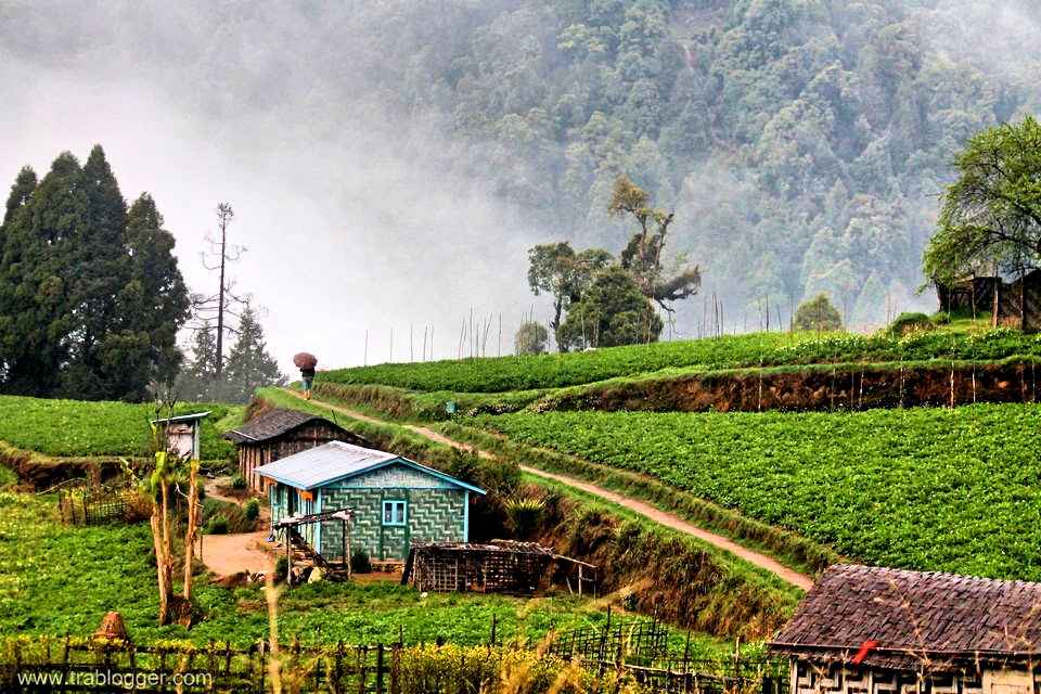 Pristine Gorkhey - Tripoto
