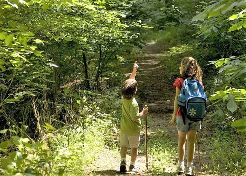 Want To Introduce Your Kids To The Outdoors Best Hikes To Take Your Kid ...
