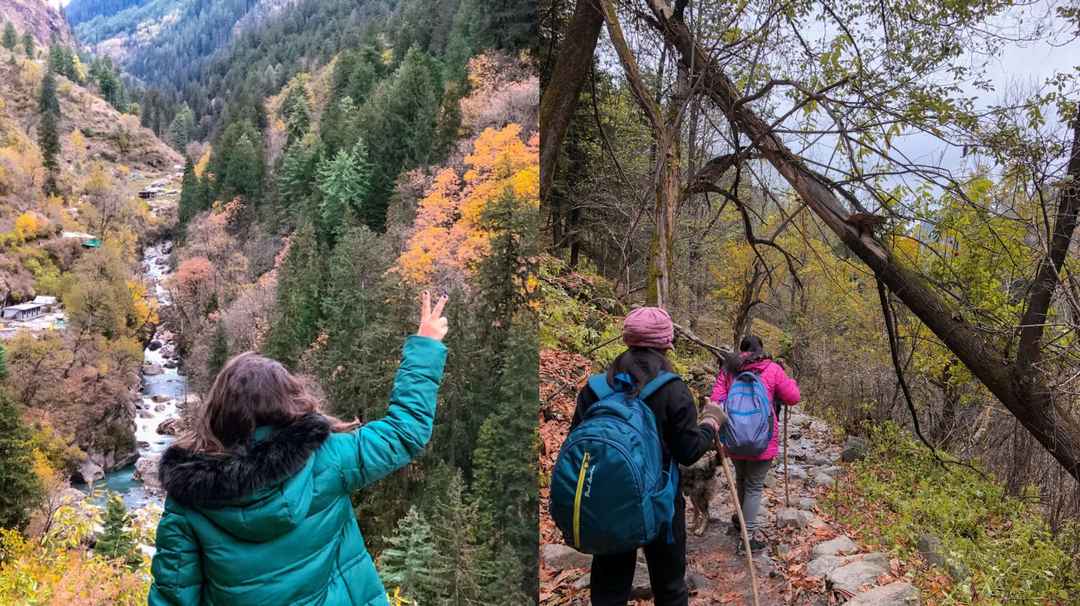 This Is Where I Witnessed the Surreal Fall Colours Right Here in India ...