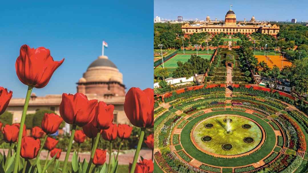 See it before they go: Where to enjoy the best of Delhi’s spring beauty ...