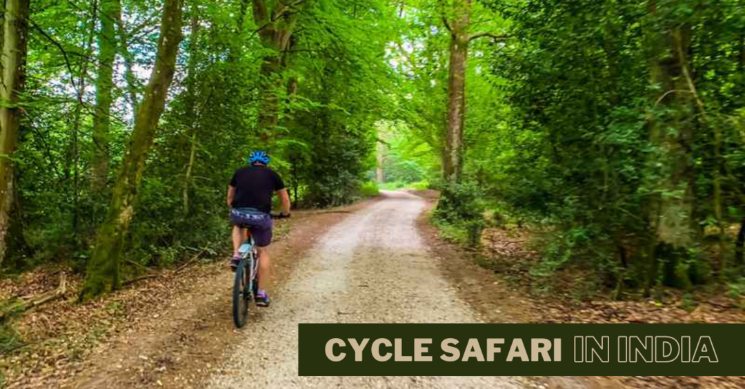 Get Ready To Pedal Through a Tiger Reserve, This National Park Now ...