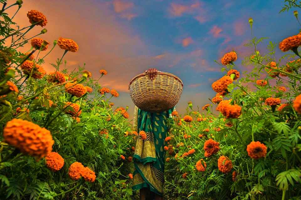 Theres A Valley Of Flowers In West Bengal We Bet You Have Not Heard ...