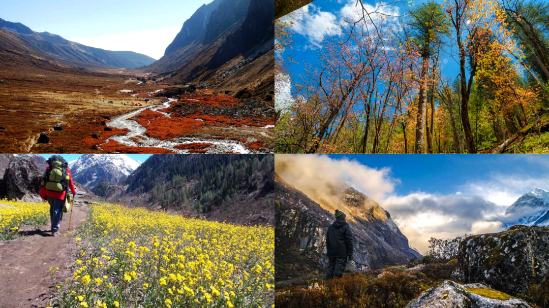 6 Best Treks To Do In October And November To Witness The Spectacular ...