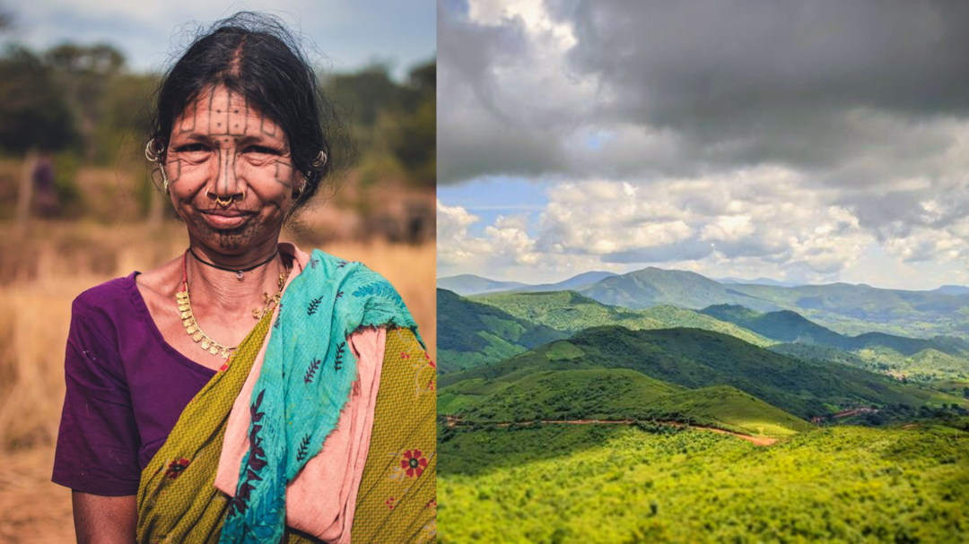 Odisha: Indias Hidden Gem Thatll Let You Explore The Diversity Of The ...
