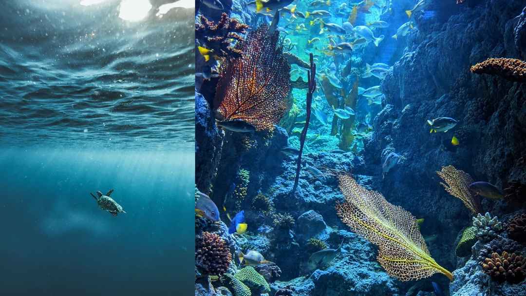 Did You Know About an Underwater Highway Which Is Getting Built, but ...