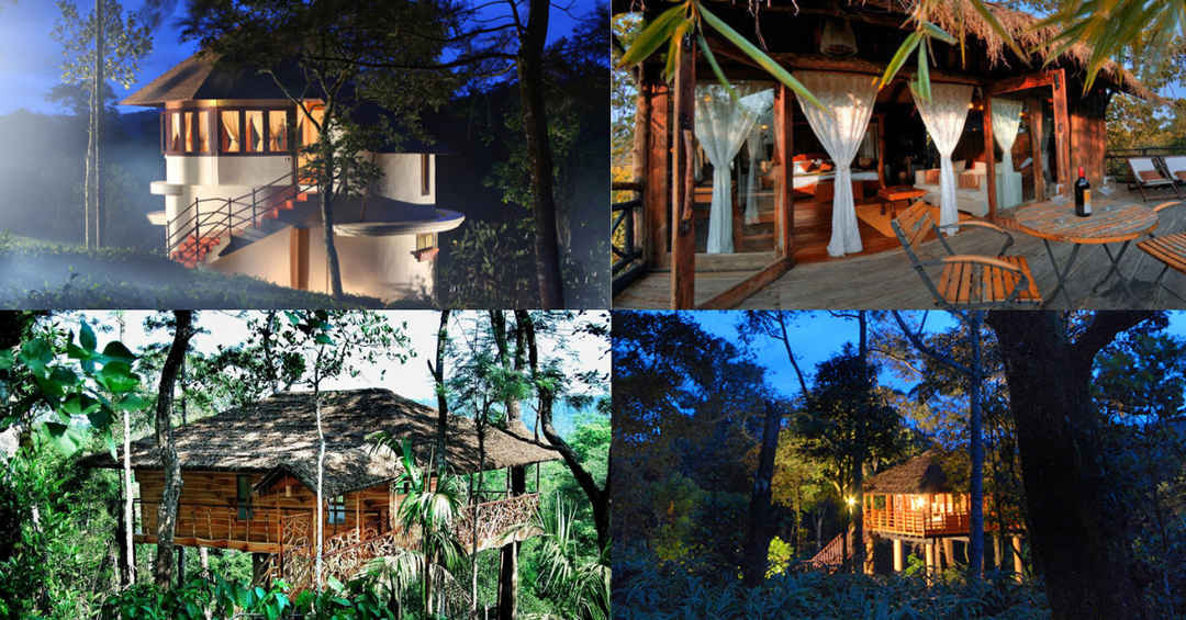 7 Tree Houses In India That Are So Cool, Youll Want To Stay Forever
