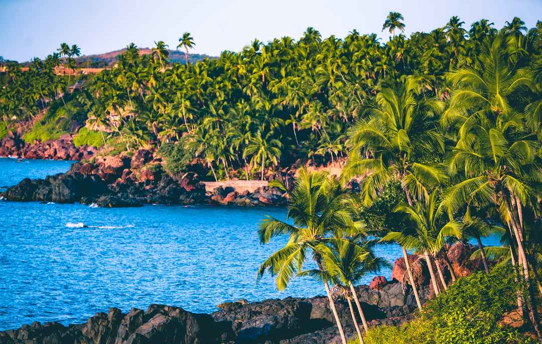 Goa Island: A Guide to Visit Best Islands Near Goa by Tripoto