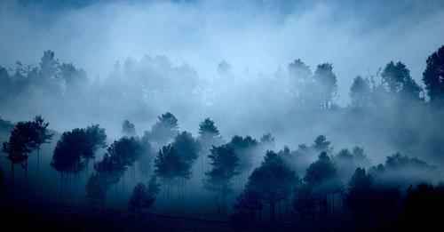 Most Of Us Have Heard About Bhangarh. But How Many Of Us Know About ...