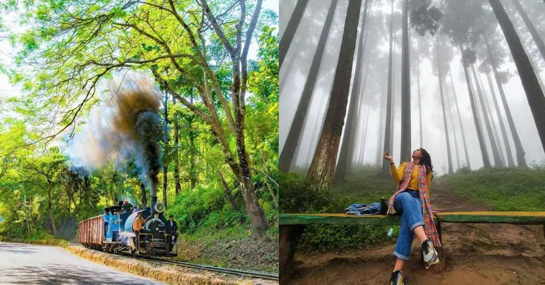 17 Darjeeling Tourist Places To Explore - Tripoto