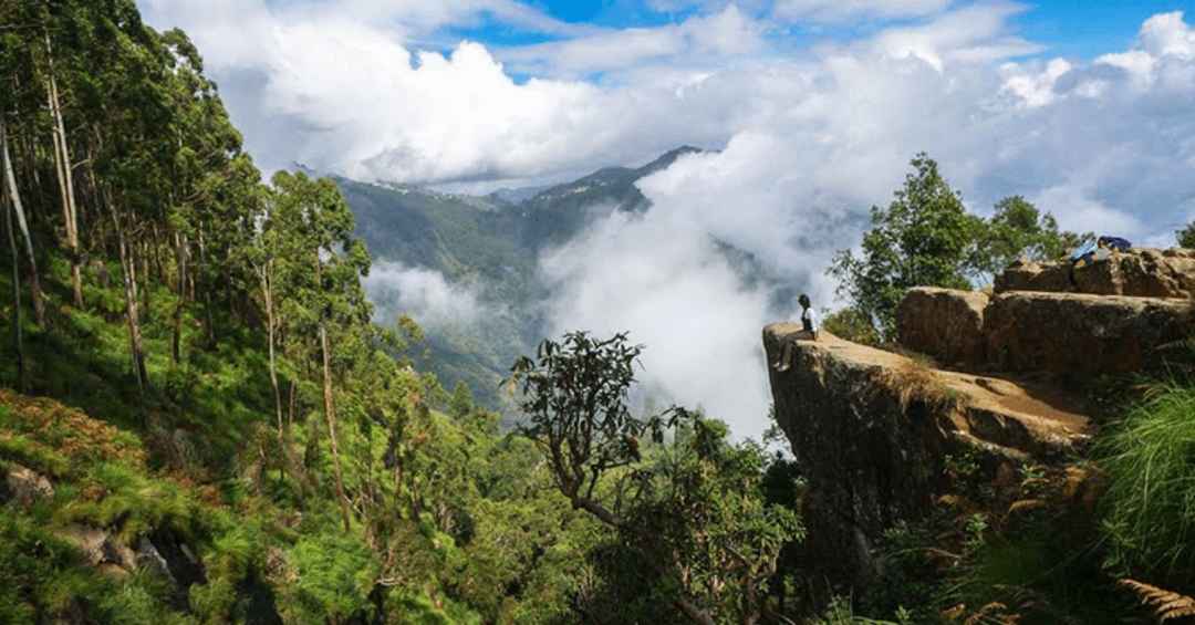 A Guide to Explore Vattakanal, Tamil Nadu - Tripoto