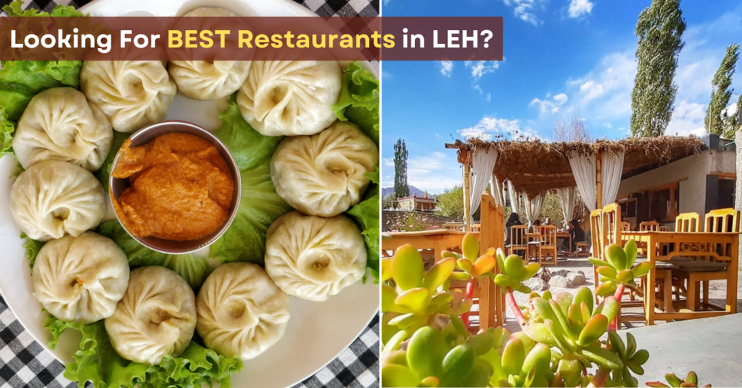 8 Restaurants in Leh That Offer Warmth, Views And Fab Food | Tripoto