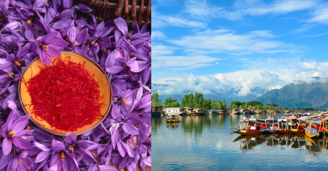 Cost Of Saffron In Kashmir at Pearline Beard blog