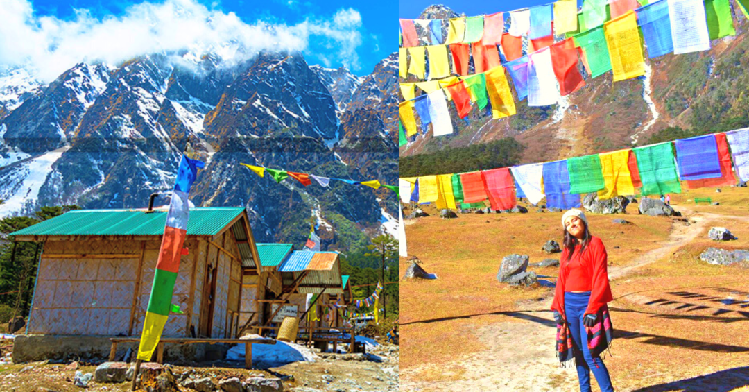 All You Need to Know About Yumthang Valley, Sikkim - Tripoto