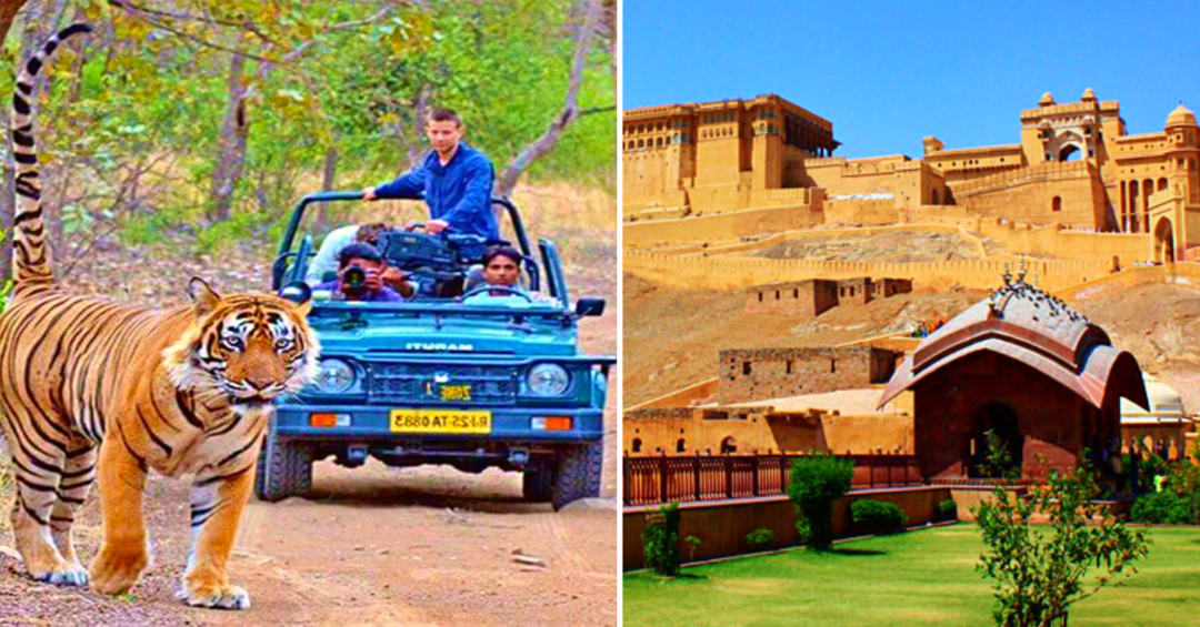 This Winter, Head to Ranthambore and Explore The Beauty Beyond Tiger ...