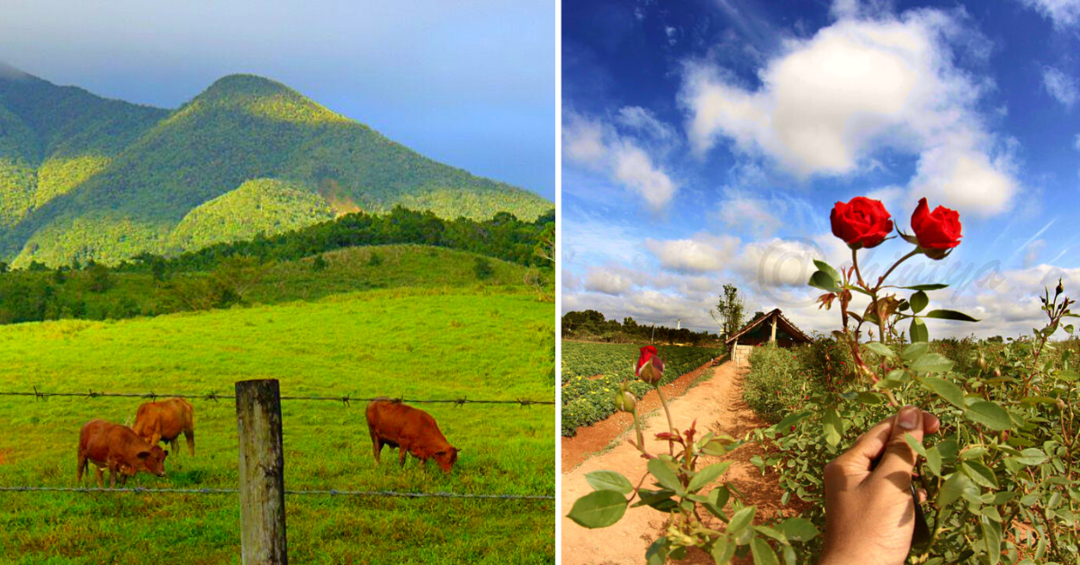 Just An Hour Away From Bangalore, People Call This Town Little England ...