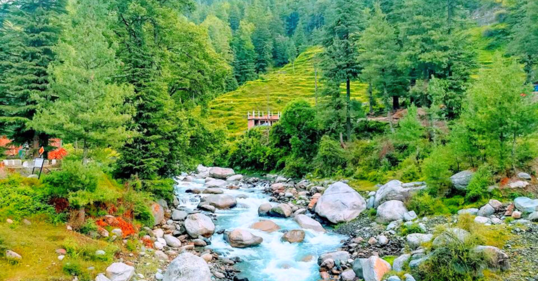 Destination Guide :Jia Valley - Tripoto