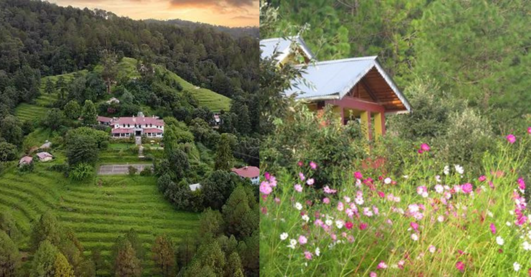 11 Cosy Homestays in Uttarakhand That Are Perfect For Your Next Weekend ...