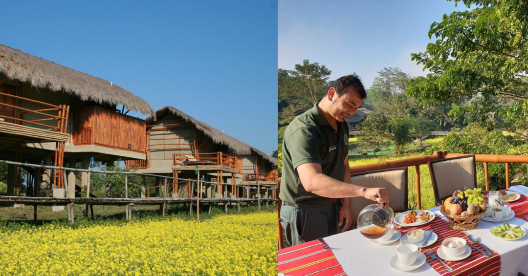 Best Properties to Stay Amidst India’s Best National Parks for the ...