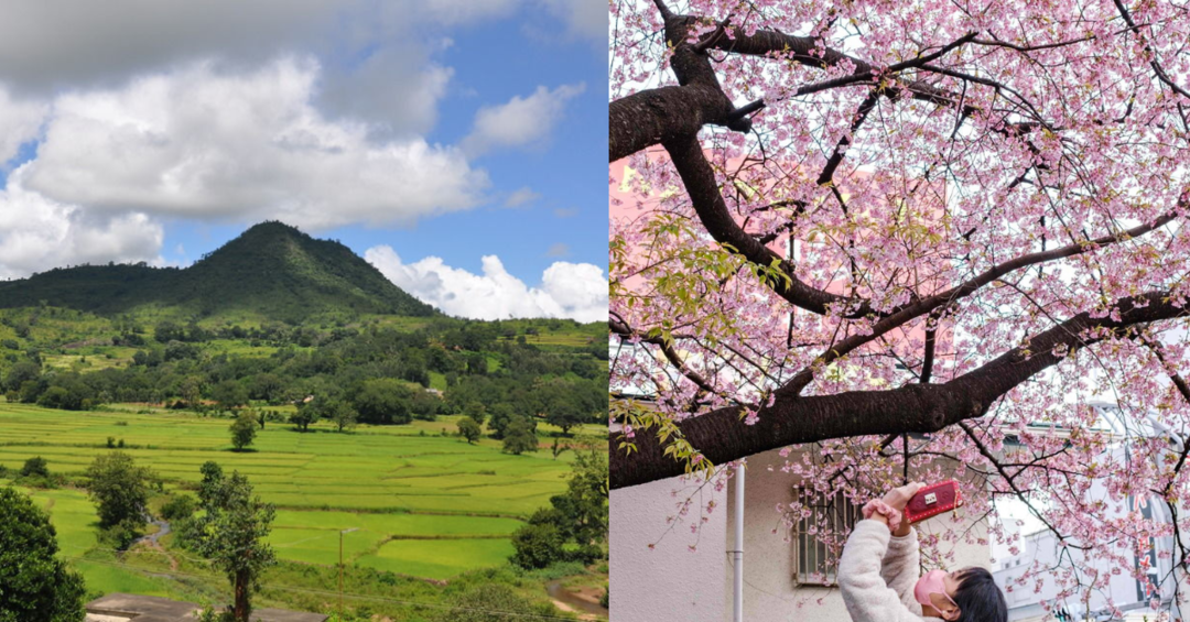 Top 13 Place To Visit In April To Welcome The Beginning Of Spring