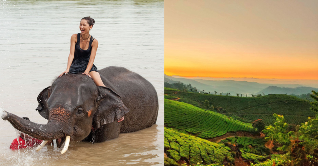 Top 20 Places To Visit In Munnar - Heres An Exclusive Guide For You ...
