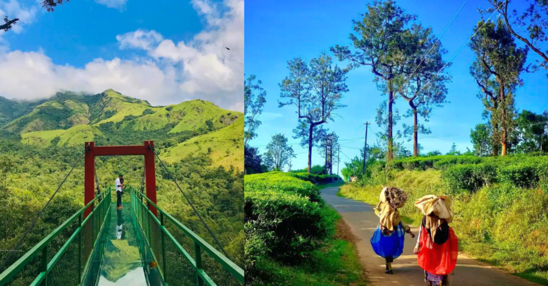 What No One Tells You About Wayanad and How You Should Plan Your Trip ...