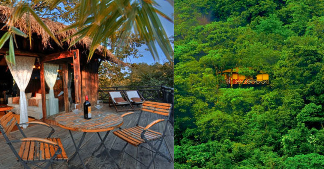 7 Tree Houses In India That Are So Cool, Youll Want To Stay Forever