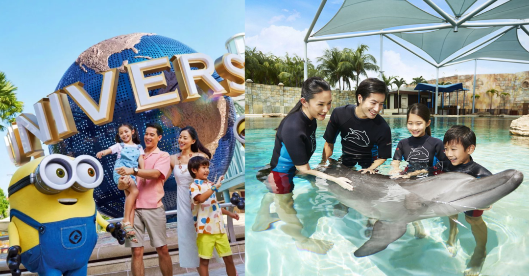 A Fun Family Holiday in Singapore: Swimming With Dolphins, Meeting ...