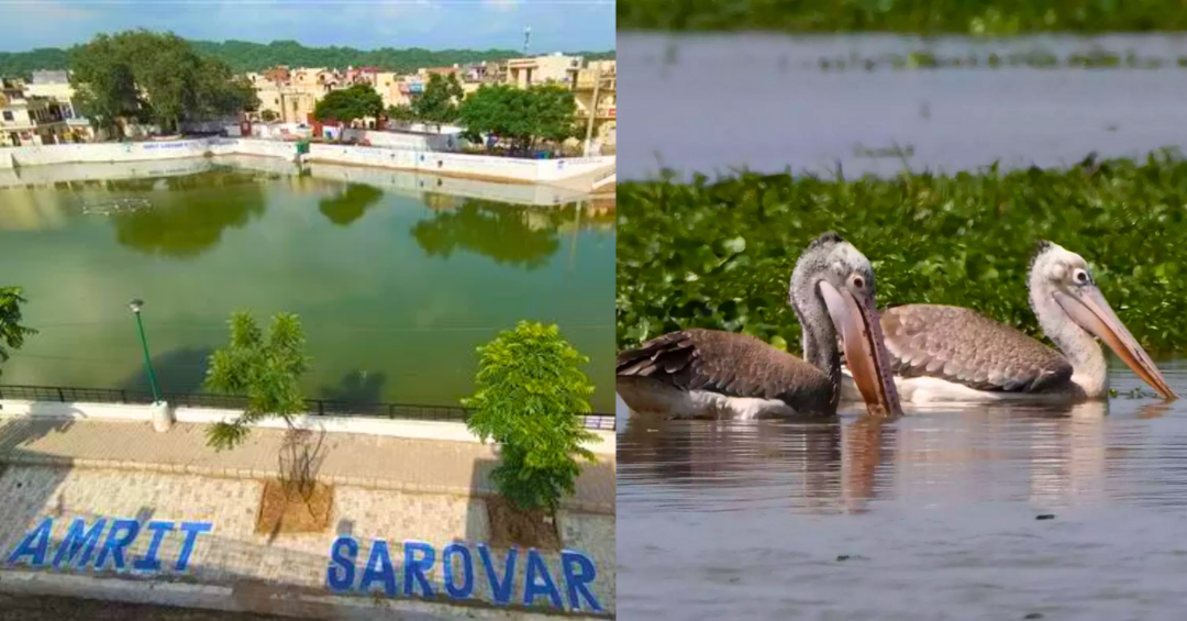 Tourism To Get A Boost With The Completion Of 1,627 Amrit Sarovars Work ...